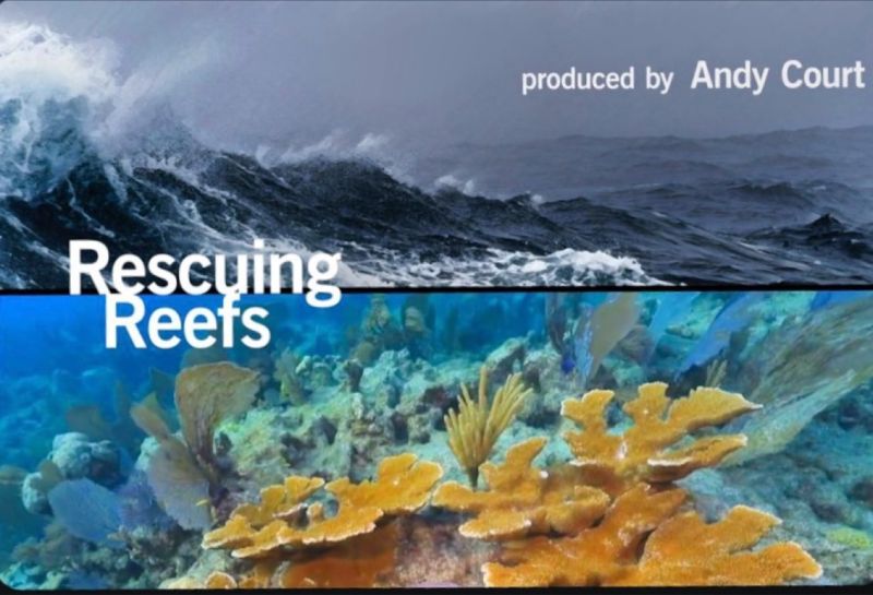 University of Miami Rosenstiel School of Marine and Atmospheric Science ... University of Miami Rosenstiel School of Marine and Atmospheric Science ...