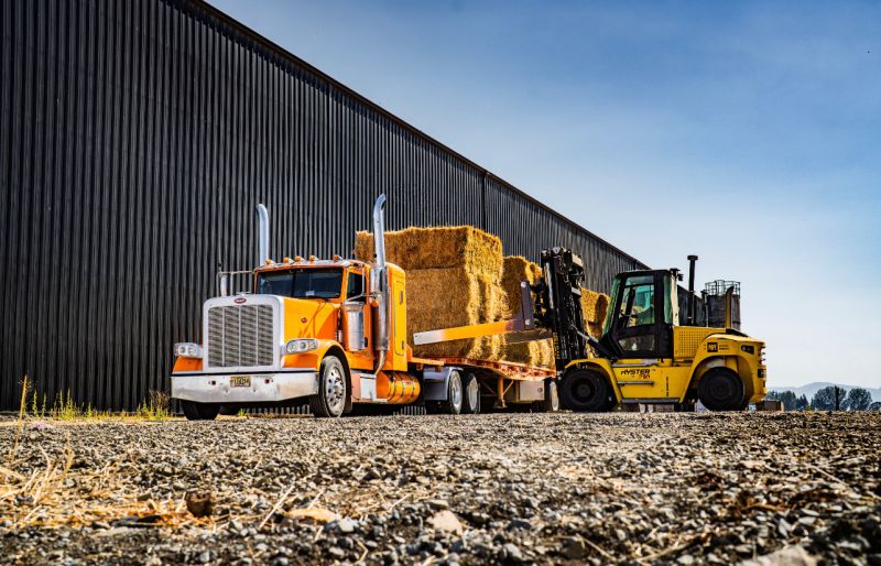 Jesse Bounds on LinkedIn: #jesseboundstrucking #boundshay #trucking Jesse Bounds on LinkedIn: #jesseboundstrucking #boundshay #trucking