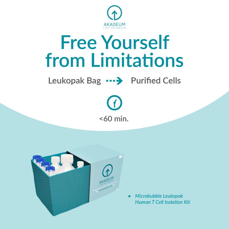 Jesse Chen on LinkedIn: Our Microbubble Leukopak Human T Cell Isolation ... Jesse Chen on LinkedIn: Our Microbubble Leukopak Human T Cell Isolation ...