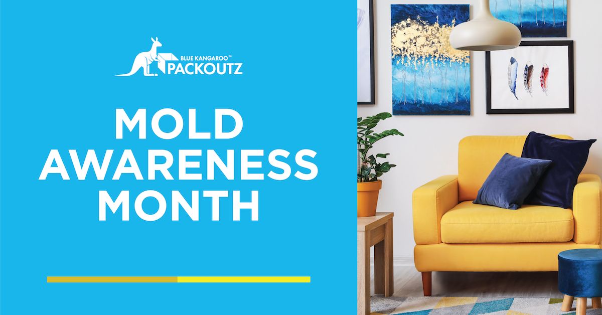 Blue Kangaroo Packoutz on LinkedIn: #moldawarenessmonth Blue Kangaroo Packoutz on LinkedIn: #moldawarenessmonth