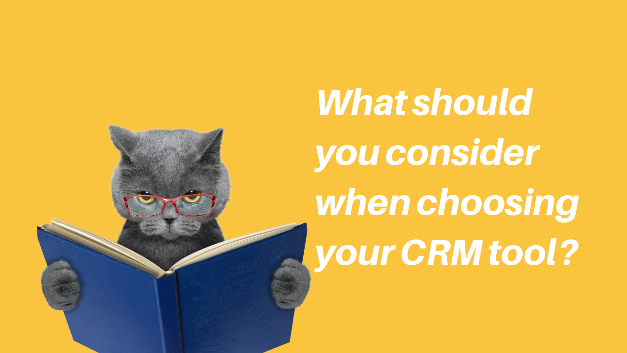 What should you consider when choosing your CRM tool? What should you consider when choosing your CRM tool?