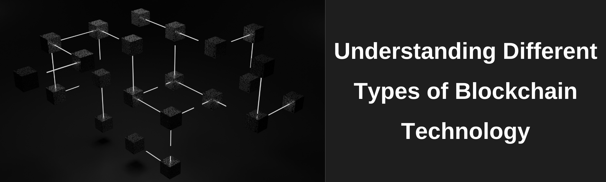 Understanding Different Types of Blockchain Technology Understanding Different Types of Blockchain Technology