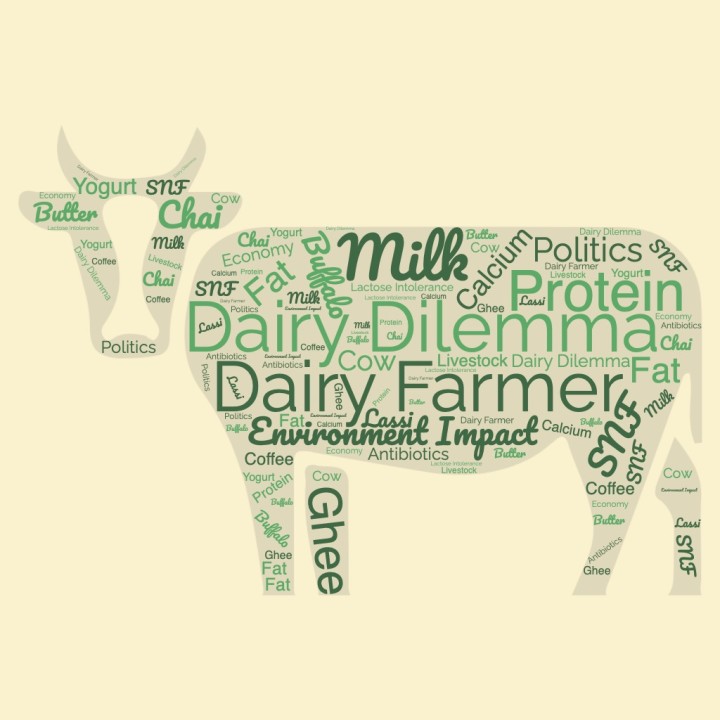 The Dairy Dilemma | Decoding Indian Dairy Industry The Dairy Dilemma | Decoding Indian Dairy Industry