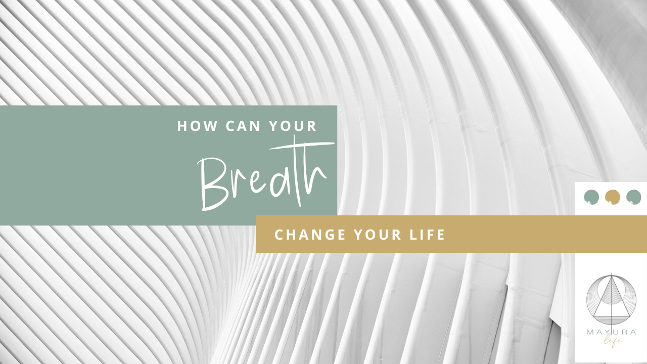 How can your breath change your life? How can your breath change your life?