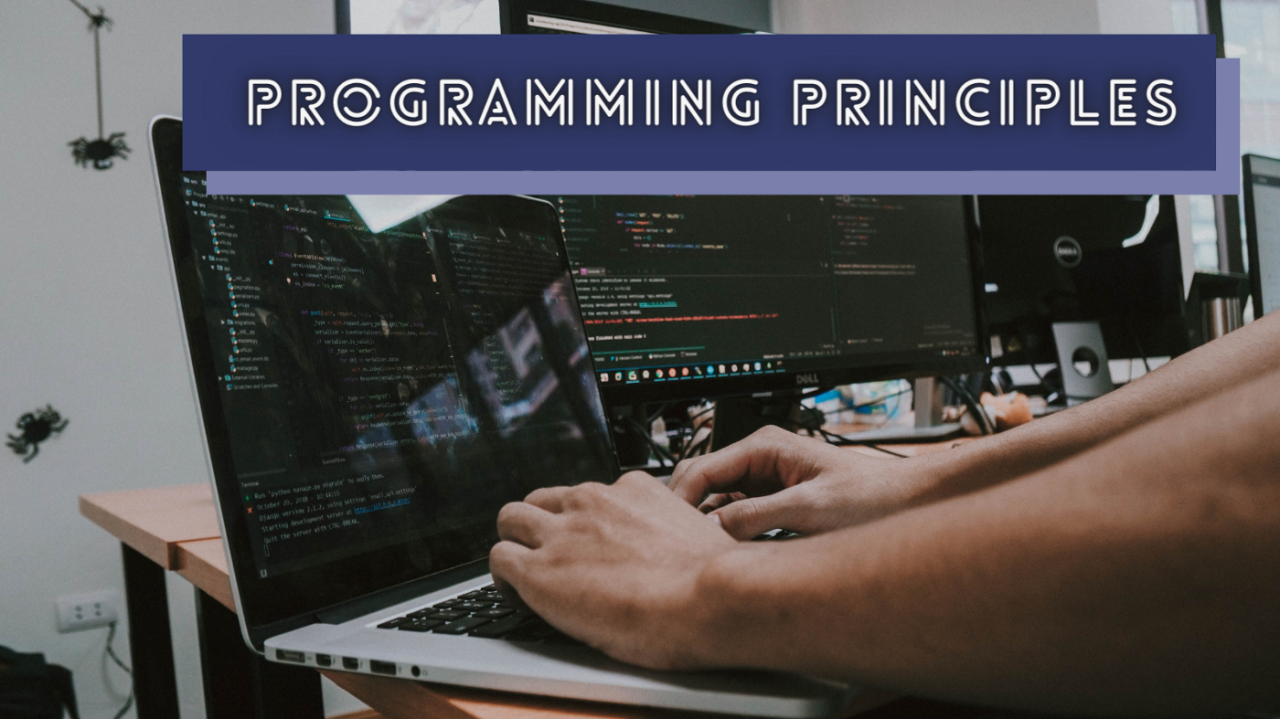 Basic Programming Principles All Programmers Should Follow Basic Programming Principles All Programmers Should Follow
