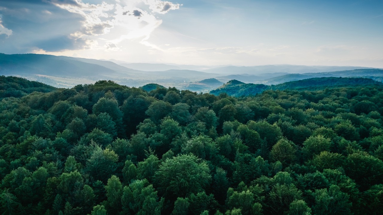 Is digitalization key to sustainable industry? Is digitalization key to sustainable industry?