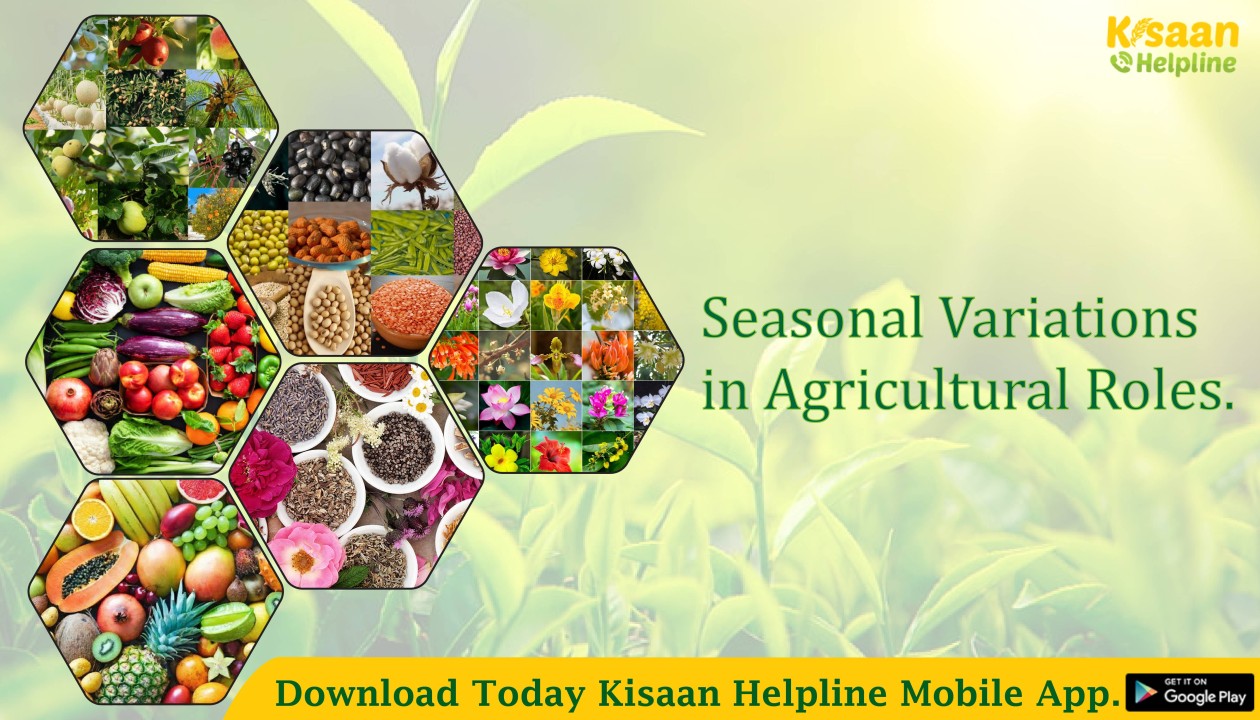 Seasonal variations in agricultural roles Seasonal variations in agricultural roles