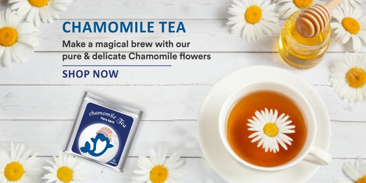 Why you should start sipping Chamomile Tea on a regular basis? Why you should start sipping Chamomile Tea on a regular basis?