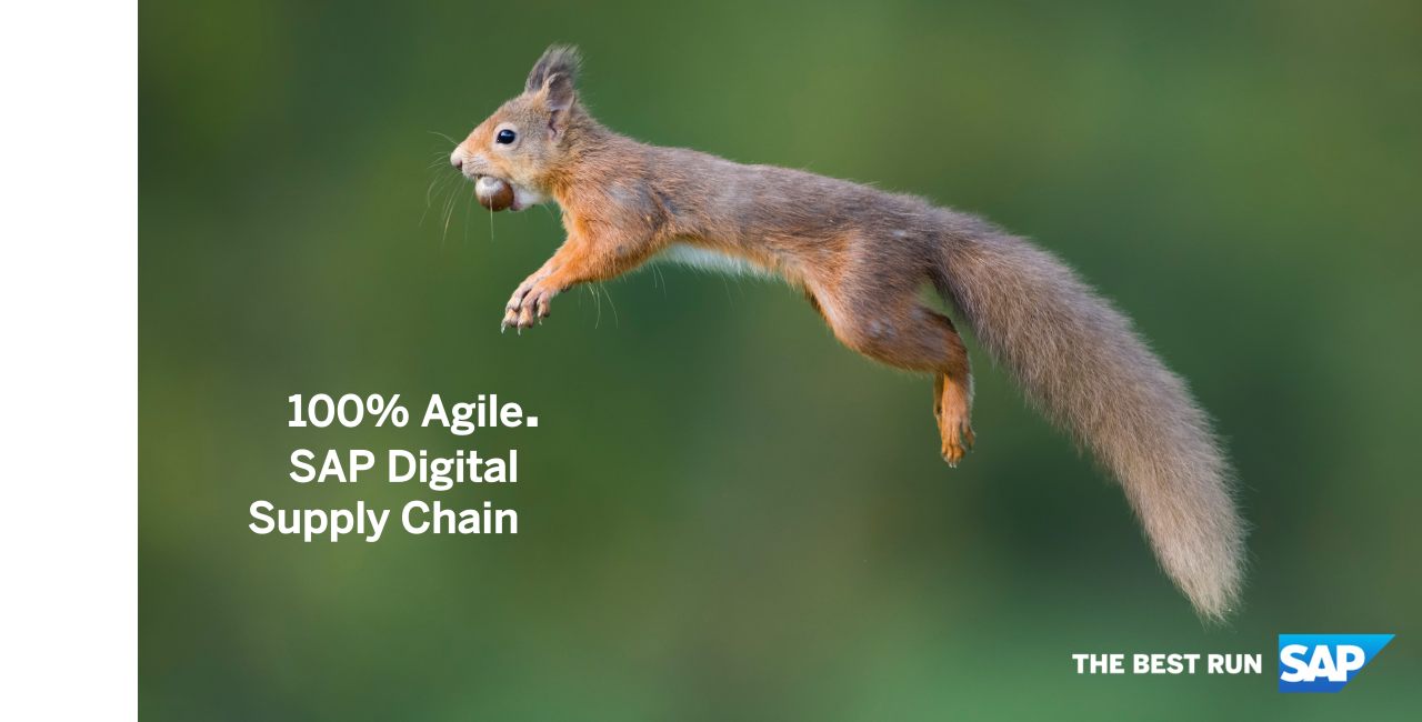 SAP Digital Supply Chain Edition SAP Digital Supply Chain Edition