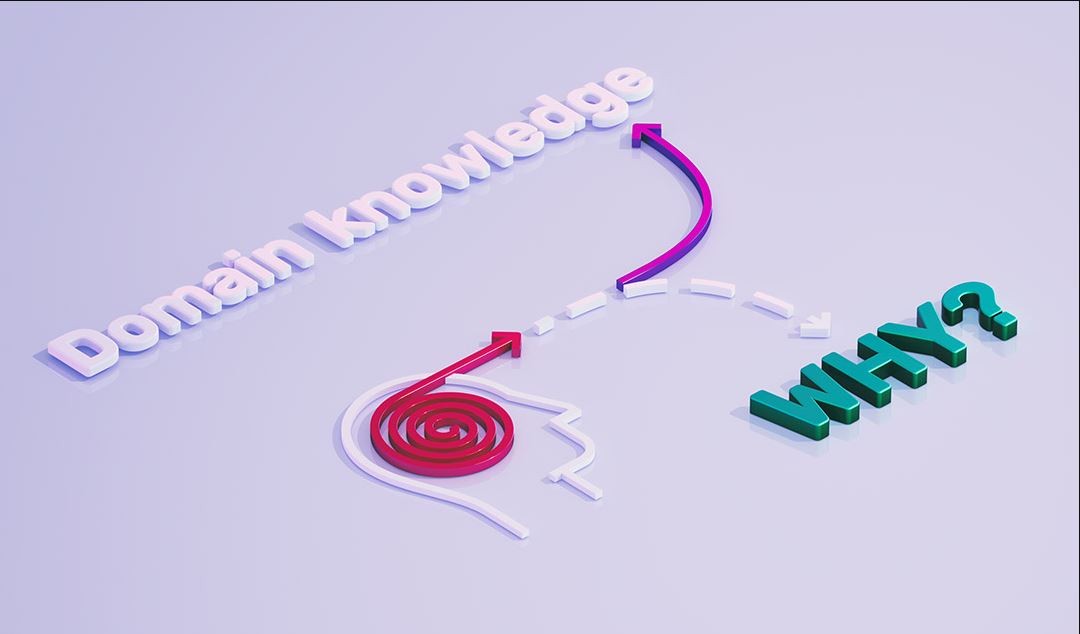 Discovering the Importance of Domain Knowledge in Data Analysis Discovering the Importance of Domain Knowledge in Data Analysis