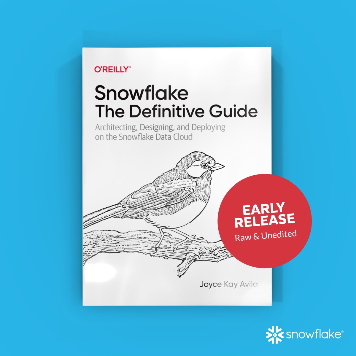 Snowflake on LinkedIn: Snowflake: The Definitive Guide | Preview First ... Snowflake on LinkedIn: Snowflake: The Definitive Guide | Preview First ...
