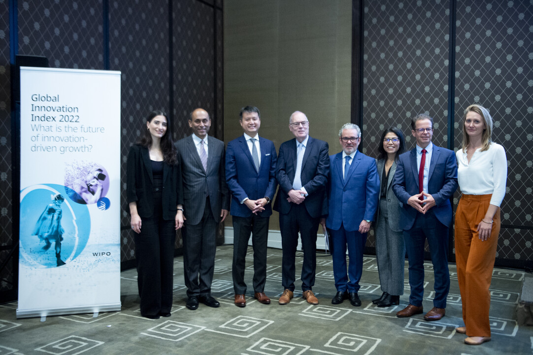 Summary of the GII 2022 Launch Summary of the GII 2022 Launch