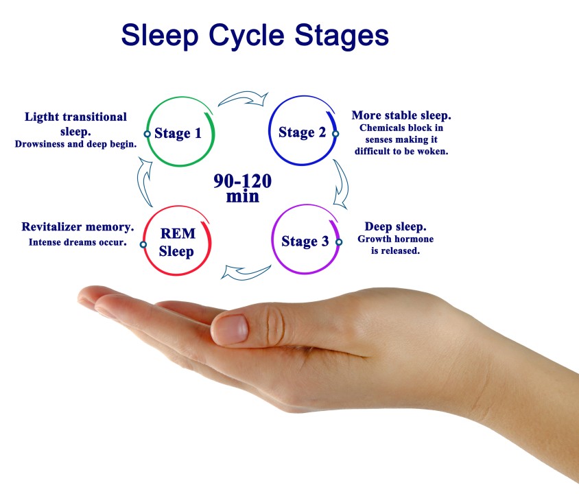 What Happens to Your Brain and Body During Sleep? What Happens to Your Brain and Body During Sleep?