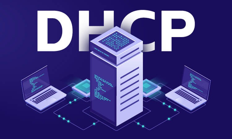 What is DHCP: Interaction Process and Packet Structure What is DHCP: Interaction Process and Packet Structure