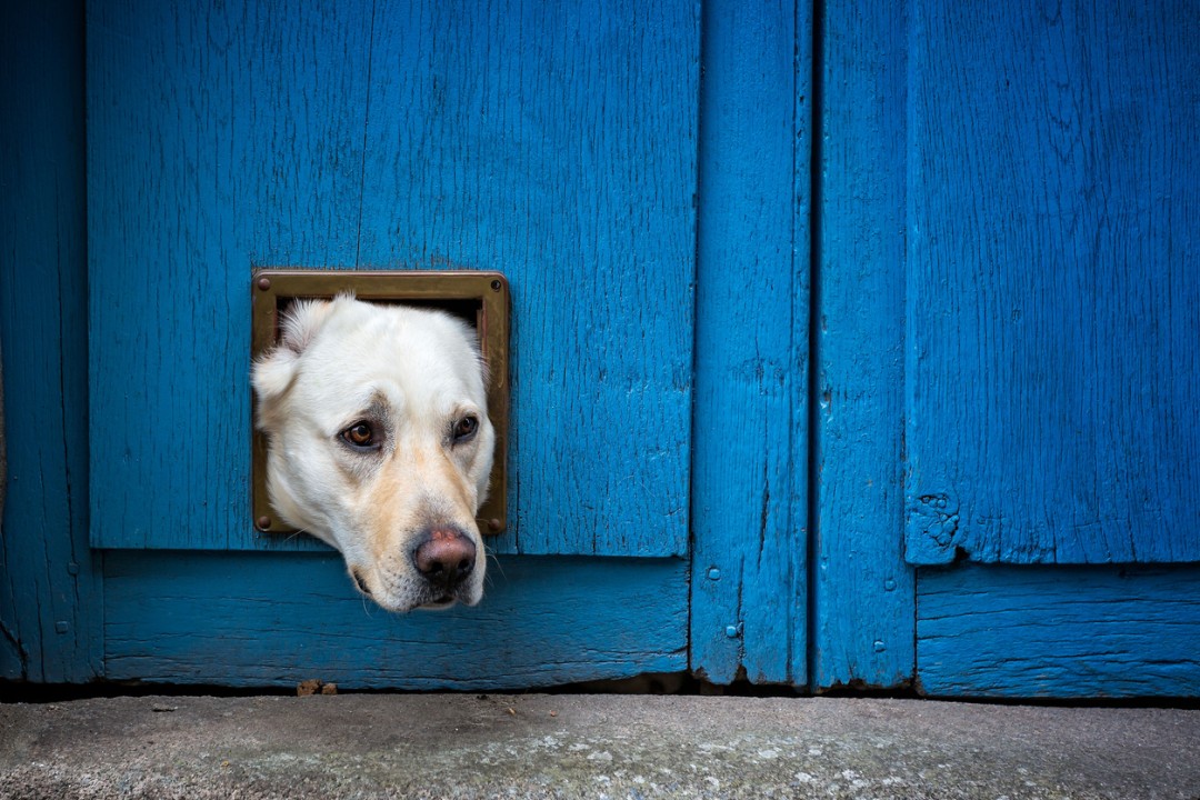 Have you ever felt stuck? Have you ever felt stuck?