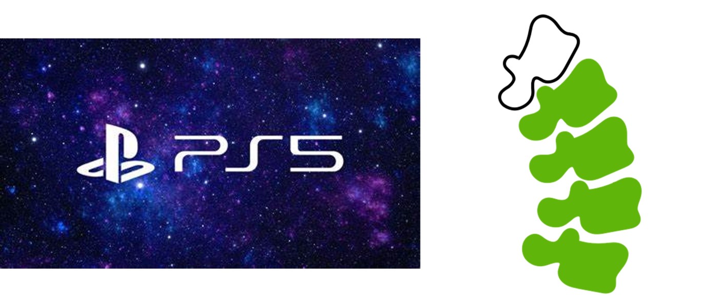 Sony Pricing Decision Spine: 4 of 5 Vertebrae Sony Pricing Decision Spine: 4 of 5 Vertebrae