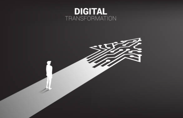 Digitalization of microfinance: risk or opportunity? Digitalization of microfinance: risk or opportunity?