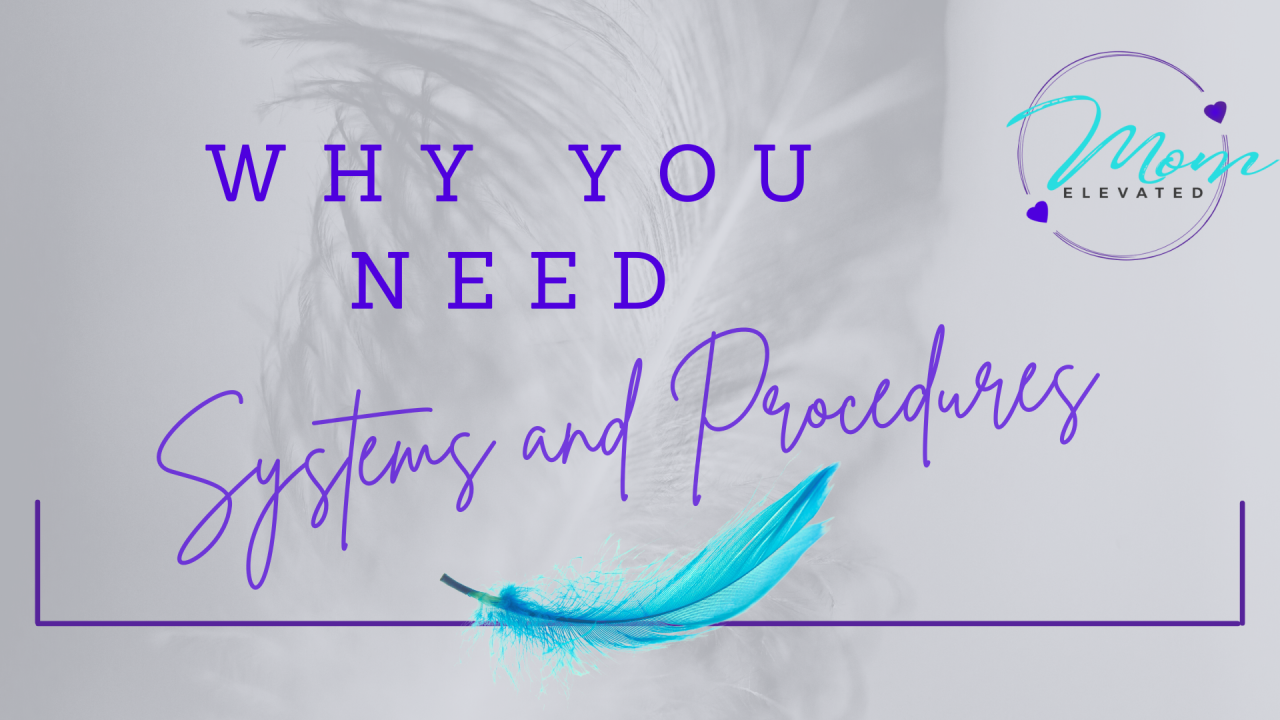 Why You Need Systems And Procedures Why You Need Systems And Procedures
