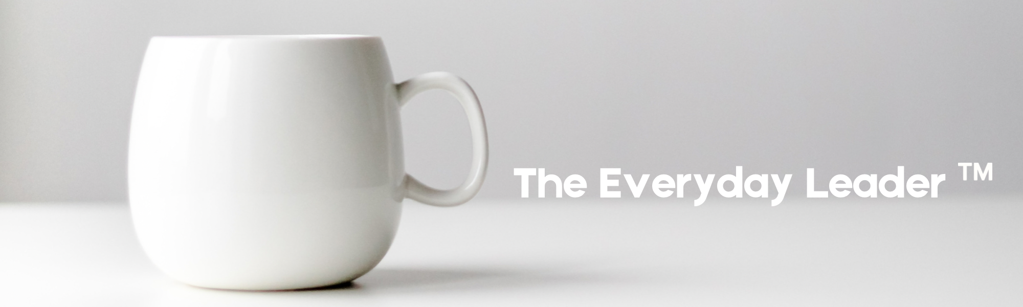 Introducing the Everyday Leader Introducing the Everyday Leader