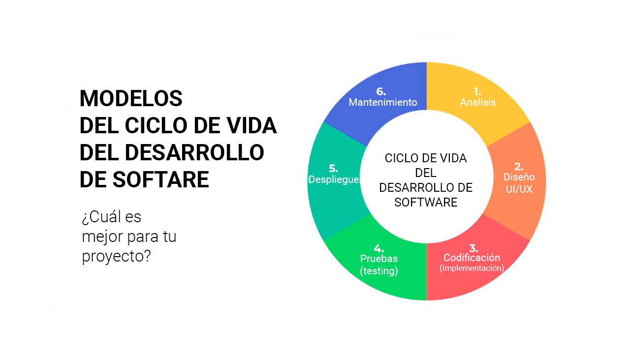 7 Fases Del Ciclo De Vida Del Desarrollo De Sistemas - vrogue.co 7 Fases Del Ciclo De Vida Del Desarrollo De Sistemas - vrogue.co