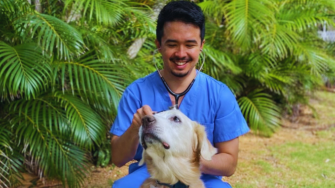 12 Reasons Why I Love Being a Veterinarian 12 Reasons Why I Love Being a Veterinarian